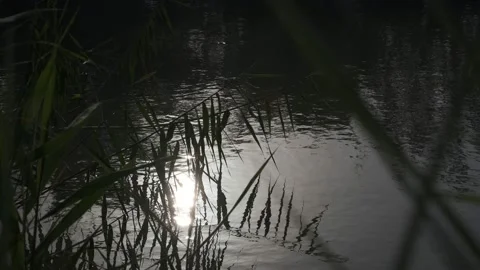footage of sun light reflection on the r... | Stock Video | Pond5