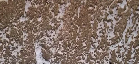 End Of Being Stock Videos – Royalty-Free HD & 4K Videos | Pond5