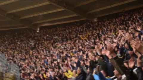 Team Win Stock Footage ~ Royalty Free Stock Videos | Pond5