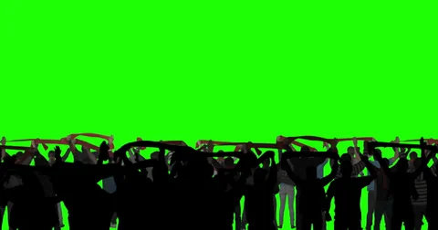 Football Crowd Green Screen Stock Video Footage | Royalty Free Football ...