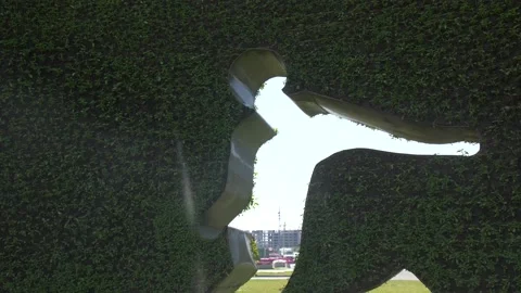 Player Made Stock Videos – Royalty-Free HD & 4K Videos | Pond5