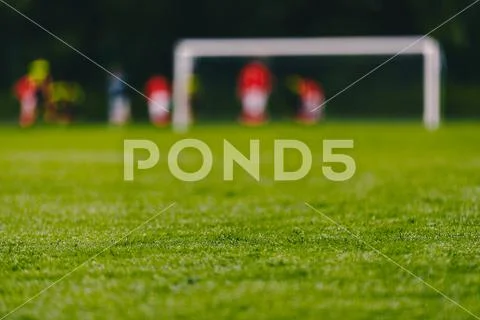Football soccer field. Low angle image of green turf on soccer pitch ...