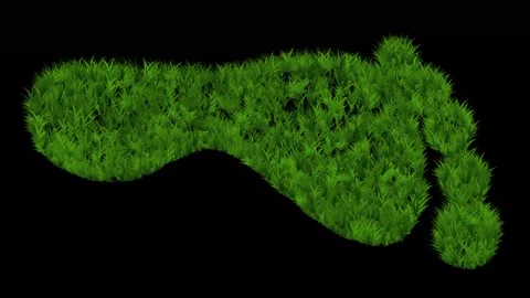 Footprint with green grass effect on pla... | Stock Video | Pond5