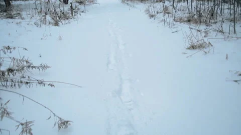 Step Snow Stock Video Footage | Royalty Free Step Snow Videos | Pond5