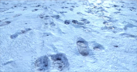 Footsteps Animation Stock Video Footage | Royalty Free Footsteps ...