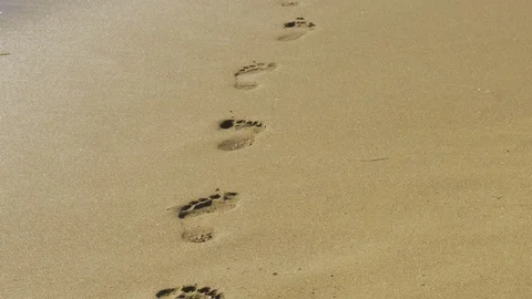 Footsteps of a women walking on the beac... | Stock Video | Pond5
