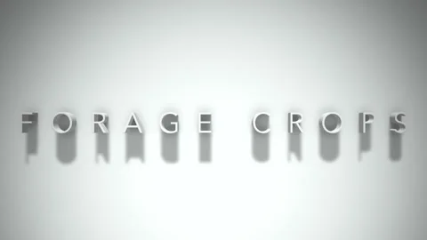Forage Production Stock Video Footage | Royalty Free Forage Production ...