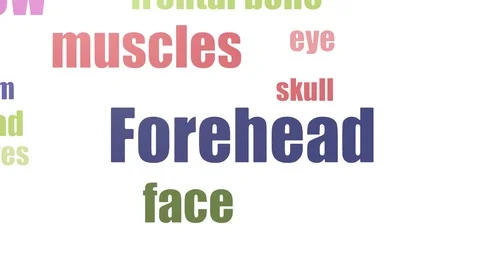 Forehead Tagcloud Animated Isolated On W... | Stock Video | Pond5