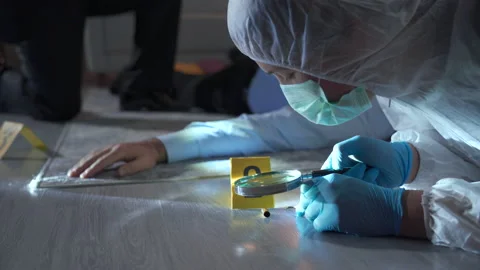 Forensic criminologist man and detective... | Stock Video | Pond5