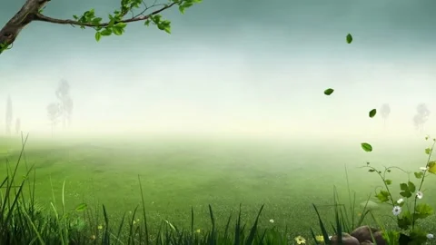 Forest Background Video Effects Video ... | Stock Video | Pond5