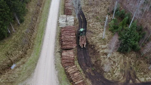 Lumber In Forest Stock Videos – Royalty-Free HD & 4K Videos
