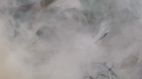 Forest Fire and dense smoke from burning... | Stock Video | Pond5