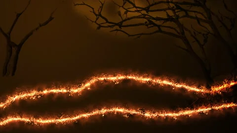 Forest fire background animation wherein... | Stock Video | Pond5