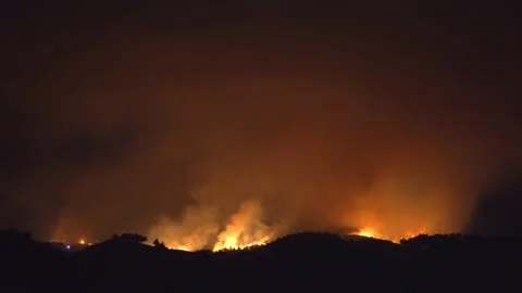 Forest fire, bushfire with flames at nig... | Stock Video | Pond5