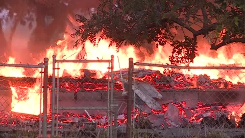 Wild Fire Video Stock Videos – Royalty-Free HD & 4K Videos | Page 3