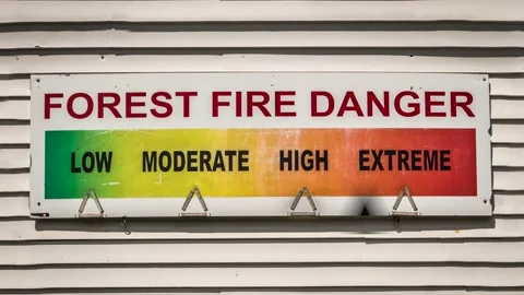 Forest Fire Danger Stock Video Footage | Royalty Free Forest Fire ...