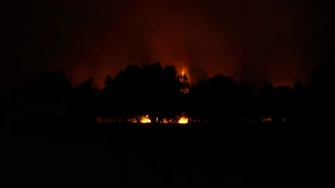 forest fire in distance with big flames ... | Stock Video | Pond5