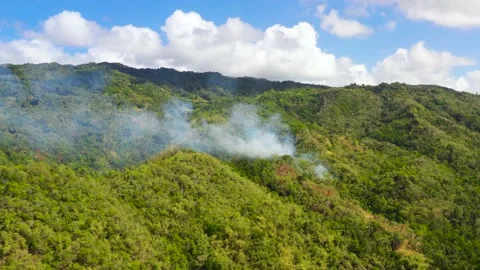 Forest fire in the rainforest. Bohol,Phi... | Stock Video | Pond5