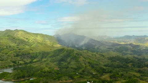 Forest fire in the rainforest. Bohol,Phi... | Stock Video | Pond5