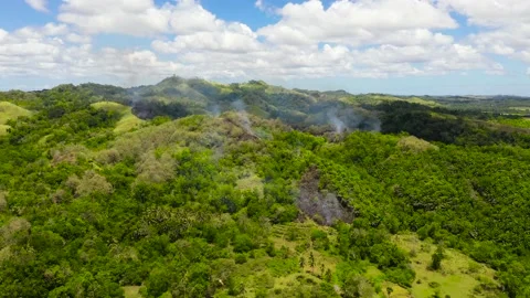Forest fire in the rainforest. Bohol,Phi... | Stock Video | Pond5