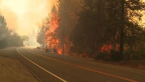 Wild Fire Video Stock Videos – Royalty-Free HD & 4K Videos | Page 2