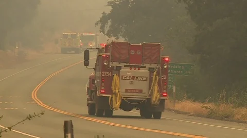 Wild Fire Video Stock Videos – Royalty-Free HD & 4K Videos | Page 2