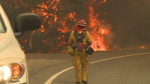 Wild Fire Video Stock Videos – Royalty-Free HD & 4K Videos | Page 2