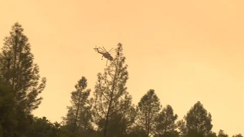 Wild Fire Video Stock Videos – Royalty-Free HD & 4K Videos | Page 3