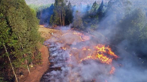 Forest firefighters create fire break co... | Stock Video | Pond5