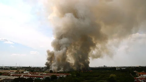 Forest fires destroy trees and smoke hot... | Stock Video | Pond5