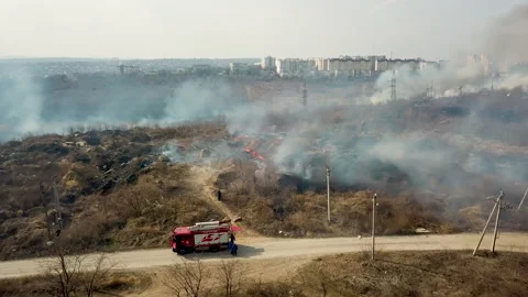 Forest fires disaster. Wildfires destroy... | Stock Video | Pond5