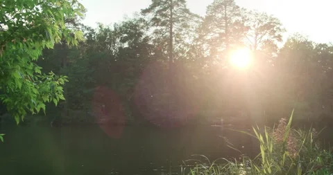 Forest lake reflect morning sun light in... | Stock Video | Pond5