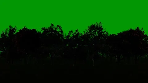 Forest in motion Silhouette Green Screen... | Stock Video | Pond5
