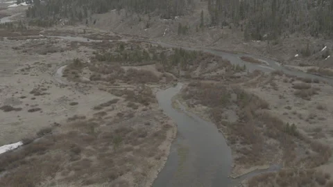 Forest Oasis River Runs Desolate | Stock Video | Pond5