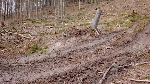 Soil Path Stock Videos – Royalty-Free HD & 4K Videos | Pond5
