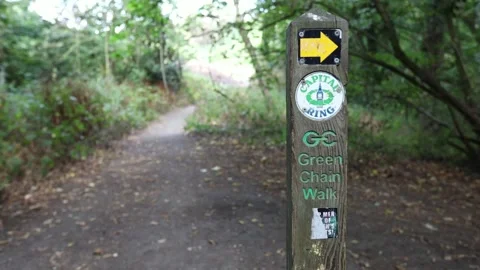 Forest path and signpost showing the rig... | Stock Video | Pond5