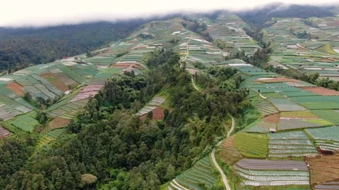 Forest in small valley surrounded by gro... | Stock Video | Pond5