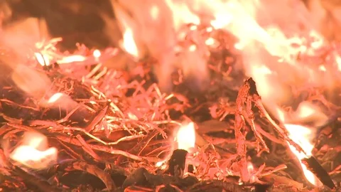 Soil Fire Stock Video Footage | Royalty Free Soil Fire Videos | Pond5