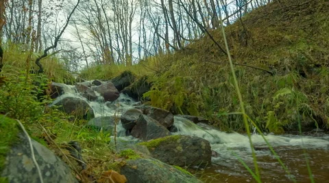 Forest Stream Stones Stock Videos – Royalty-Free HD & 4K Videos | Page 3