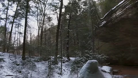 Forest Trees During Winter On Ash Cave O... | Stock Video | Pond5