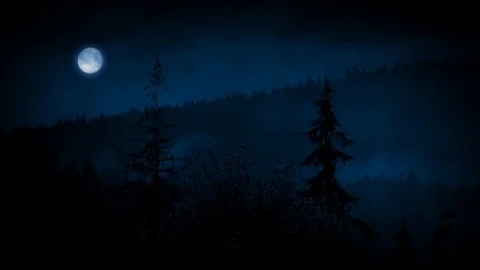 Night Landscape Stock Footage ~ Royalty Free Stock Videos | Pond5