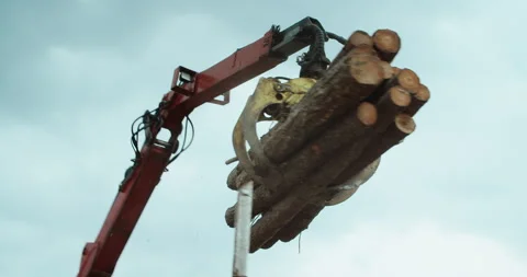 Forest truck unloading pine tree trunk u... | Stock Video | Pond5