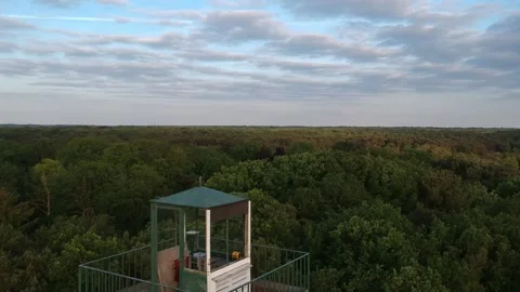 Forest watchtower cabin and rooftop in c... | Stock Video | Pond5