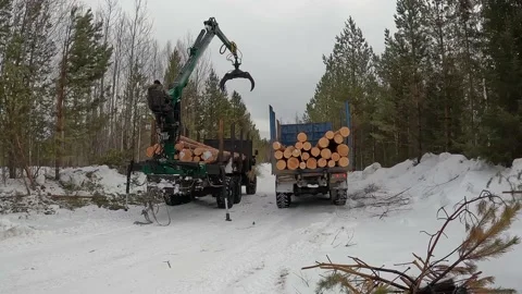 Forestry equipment. Forwarder loads timb... | Stock Video | Pond5