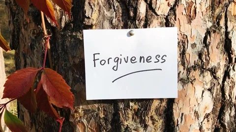 Apology Card Stock Videos – Royalty-Free HD & 4K Videos | Pond5