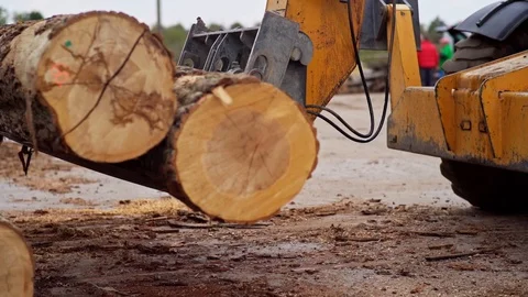 Forklift Truck Loading Lifting Tree Logs... | Stock Video | Pond5