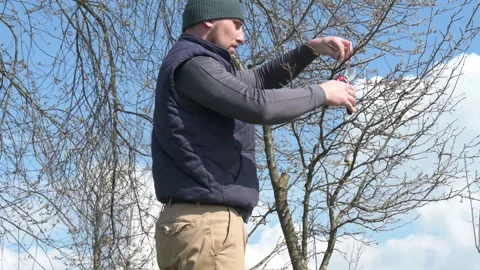 Forming the crown of a tree with the hel... | Stock Video | Pond5