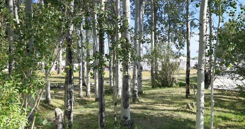Fort Bridger Mountain Man rendezvous asp... | Stock Video | Pond5
