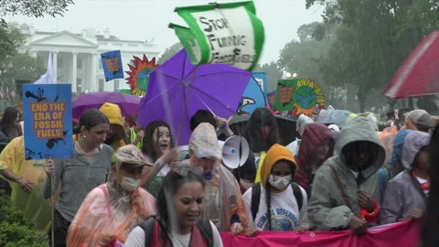 Washington Earth Stock Videos – Royalty-Free HD & 4K Videos