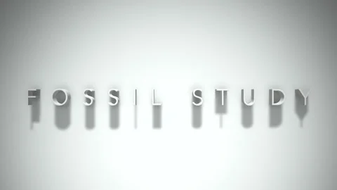 fossil study 3D title animation white te... | Stock Video | Pond5